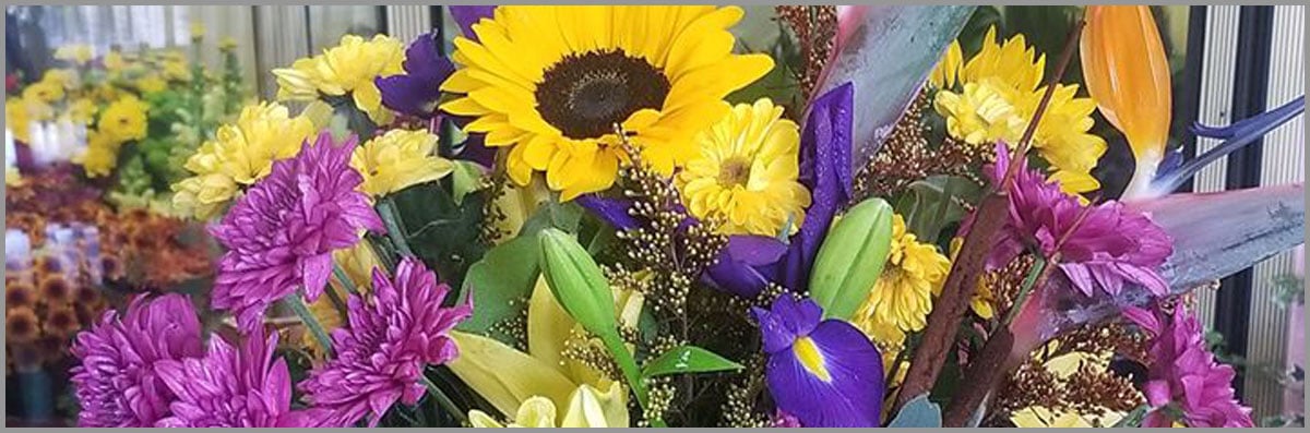 Gallery - Pampered Lady Florist